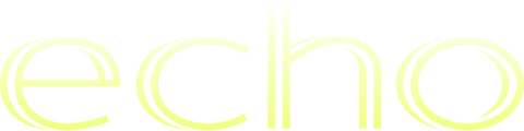 Echo Search Group | Echo | Business Solutions